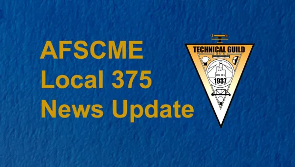 Local 375 Elections | Local 375